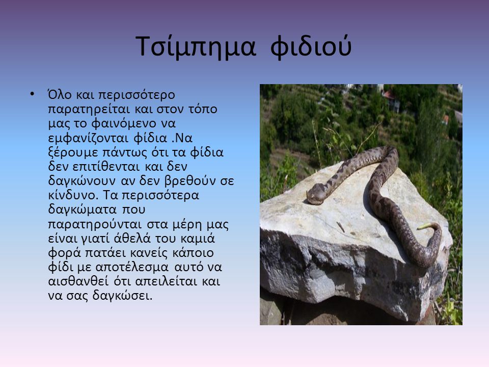 Φίδι ένας απρόσκλητος επισκέπτης.Τρόποι αντιμετώπισης | sovara.gr