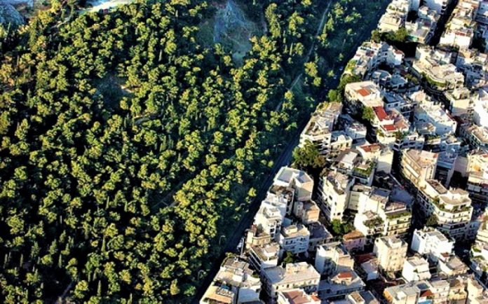 Δασικοί χάρτες: Τι προβλέπει ο σχεδιασμός | sovara.gr